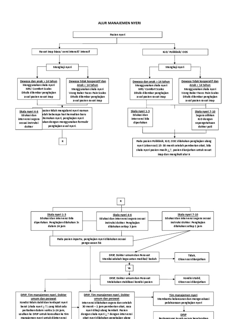 Alur Manajemen Nyeri | PDF