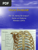 Músculos de La Nuca | PDF | Sistema musculoesquelético | Anatomía humana