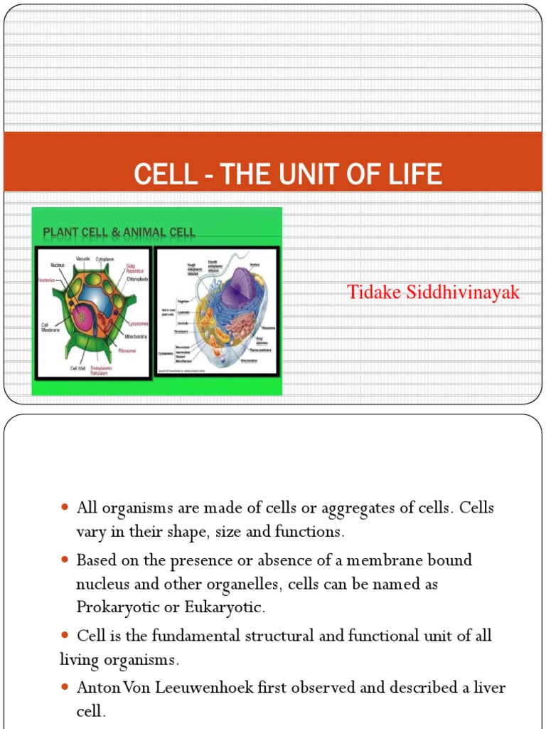 Cell Structure and Function Overview | PDF | Cell Membrane | Cell (Biology)