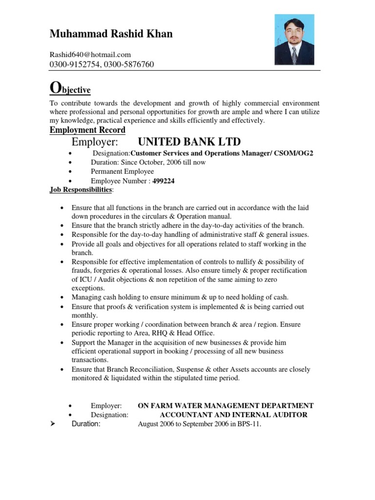 Rashid CV | PDF | Internal Audit | Employment