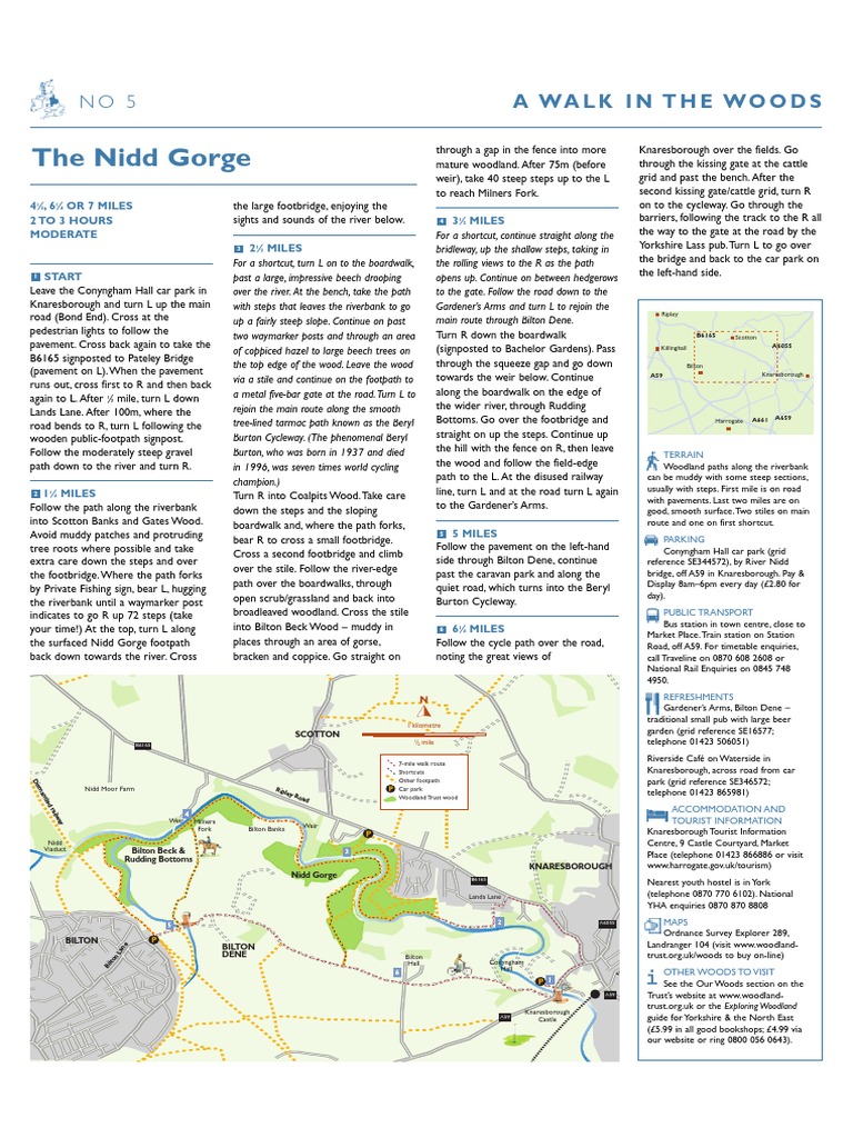 The Nidd Gorge: A Walk in The Woods | Download Free PDF | Trail | Sidewalk