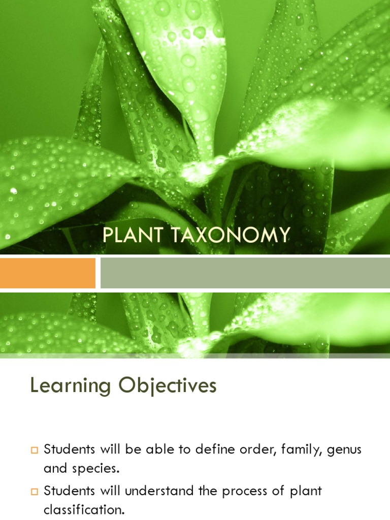 Plant Taxonomy | PDF | Taxonomy (Biology) | Maple