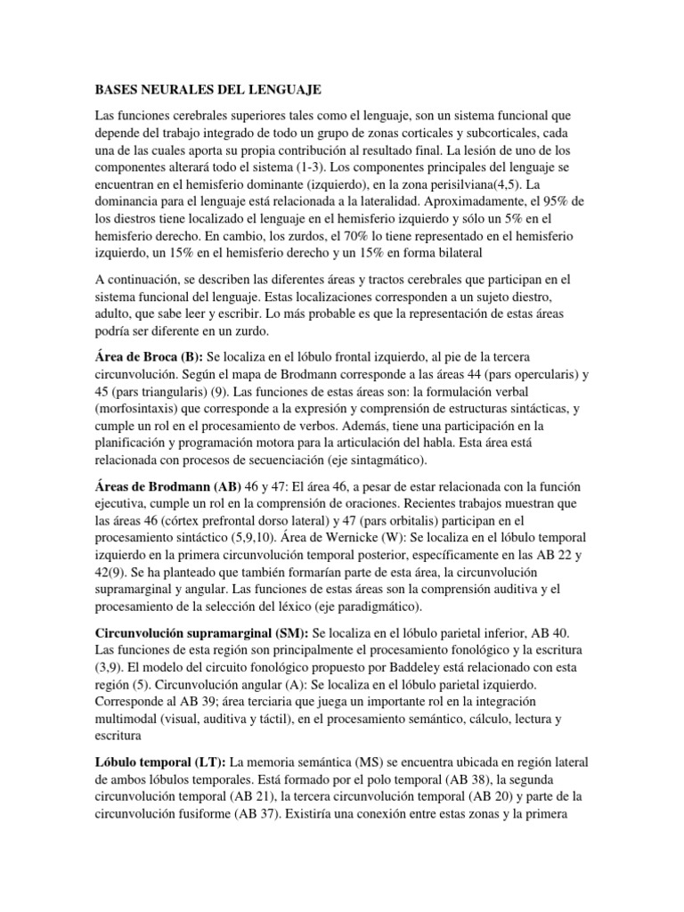 Bases Neurales Del Lenguaje | PDF | Hemisferio cerebral | Lóbulo temporal
