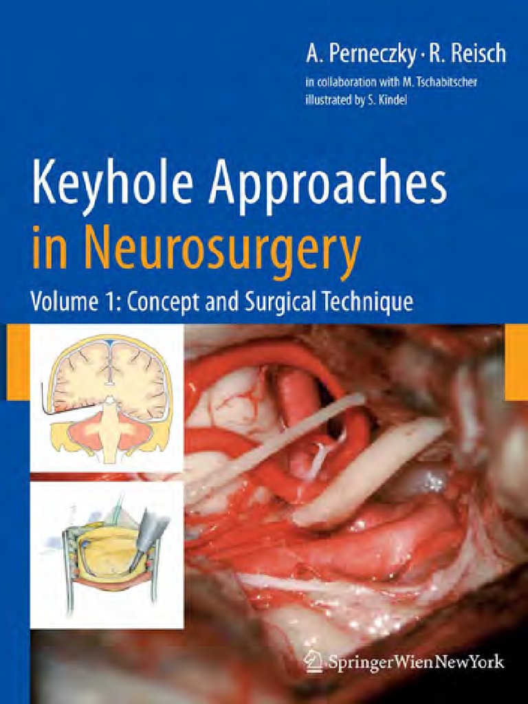 Keyhole Approaches in Neurosurgery PDF | PDF