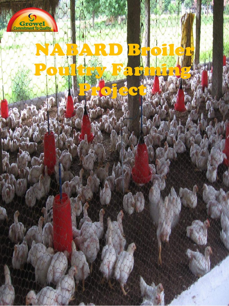 NABARD Broiler Farming Project | PDF | Poultry Farming | Broiler