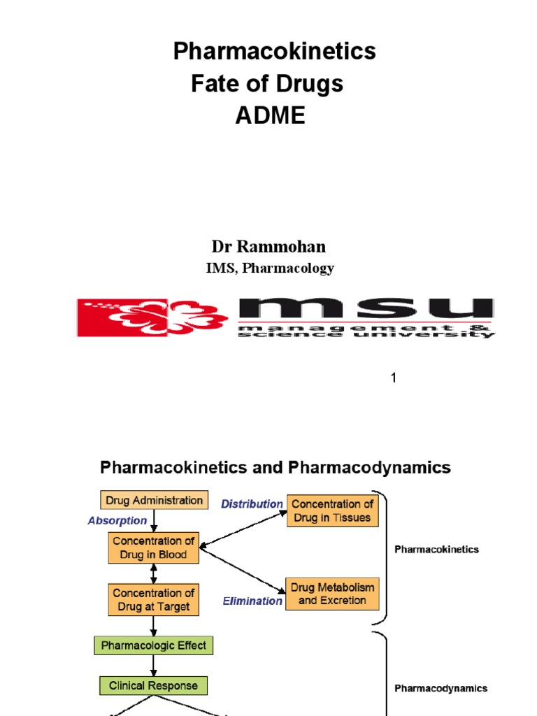 Comprehensive - Pharmacy Review For NAPLEX Practice Exams Cases and ...