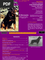 Morfología del perro: Graioides y Occipucio | PDF | Diente | Pastor alemán
