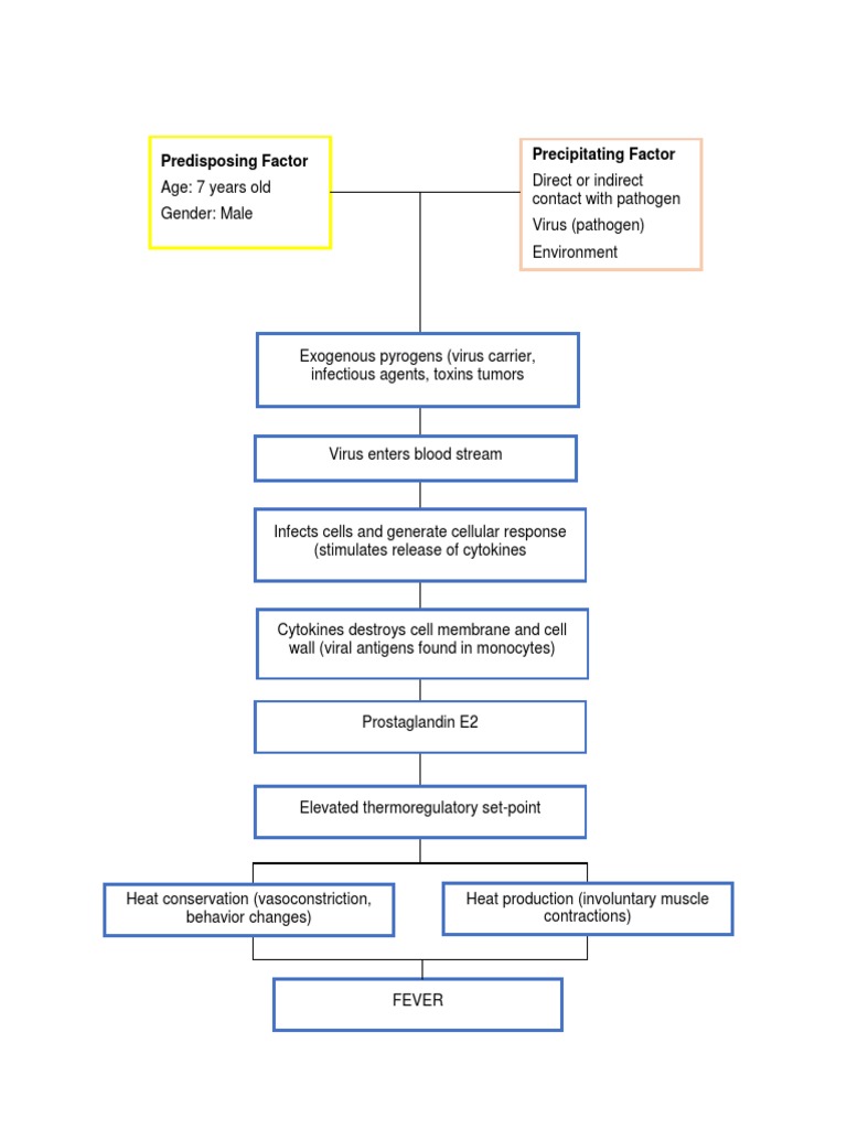 Predisposing Factor Precipitating Factor | PDF | Fever | Hyperthermia