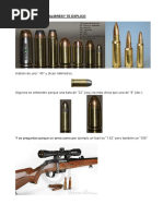 Tipos de ánima en armas de fuego | PDF | Munición | Artillería