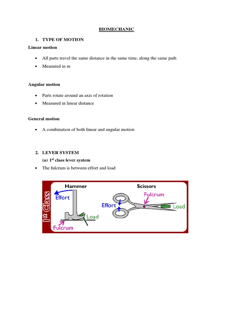Biomechanic 1. Type of Motion Linear Motion | PDF | Elbow | Lever
