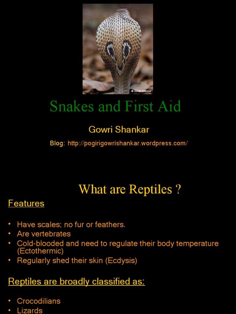 Snakes Presentation Wordpress | PDF | Snake | Squamata