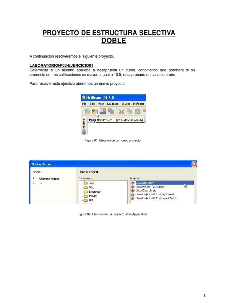 Ejercicios Java Netbeans | Descargar gratis PDF | Java (lenguaje de programación) | Algoritmos