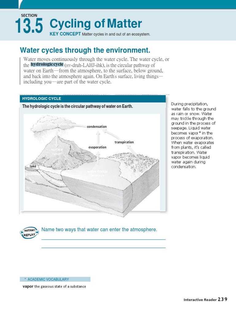 9 - Biology Interactive Reading Packet | PDF | Water Cycle | Nitrogen