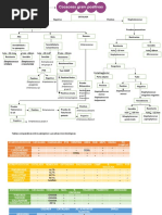 Tabla de antibiograma CLSI 2024 | PDF | Biocidas | Microbiología