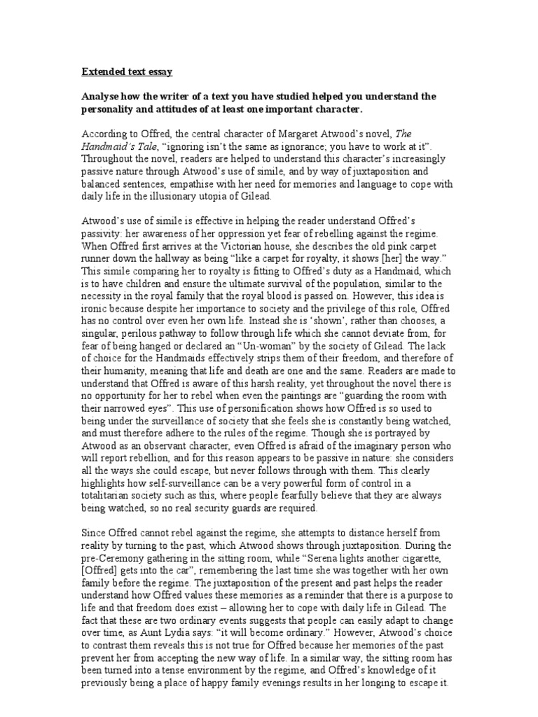 Literary Analysis: Offred's Struggle | PDF | Time | Memory