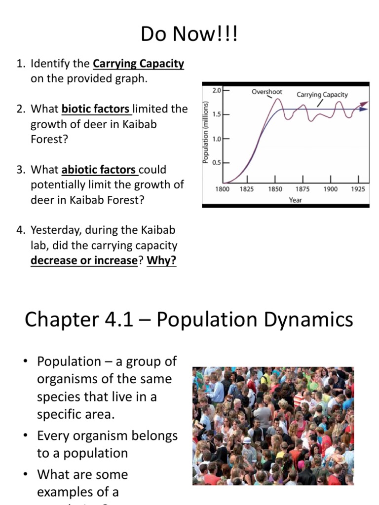 Population Dynamics | PDF | Population Growth | Logistic Function