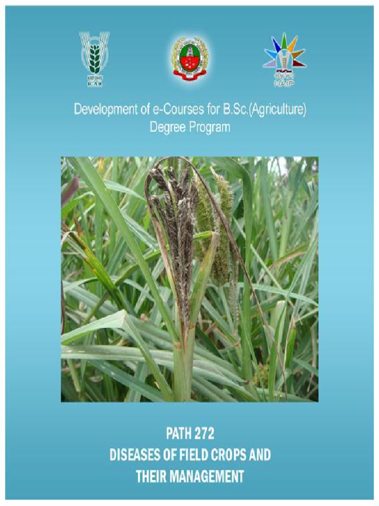 Diseases of Field Crops and Their Management PDF | PDF | Plants ...