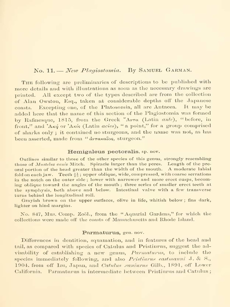 Samuel Garman.: Plagiostomia | PDF | Anatomical Terms Of Location | Fish