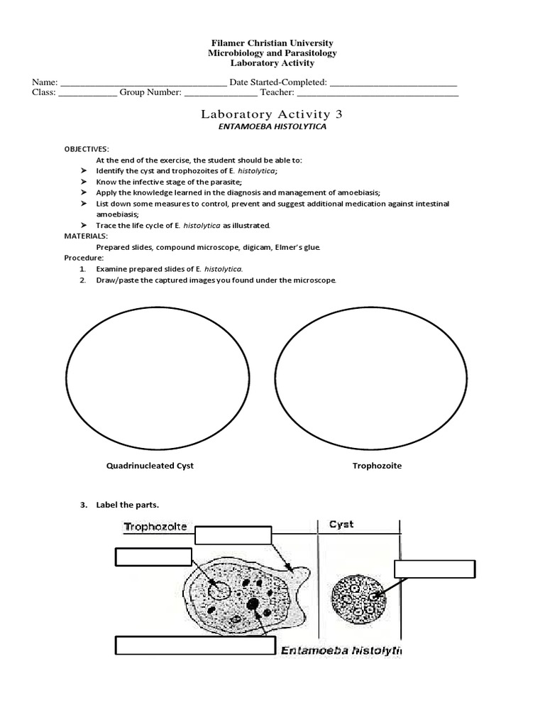 Laboratory Activity 3: Filamer Christian University Microbiology and ...