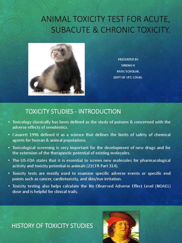 Understanding Toxicity: Acute to Chronic | PDF | Toxicity | Toxicology