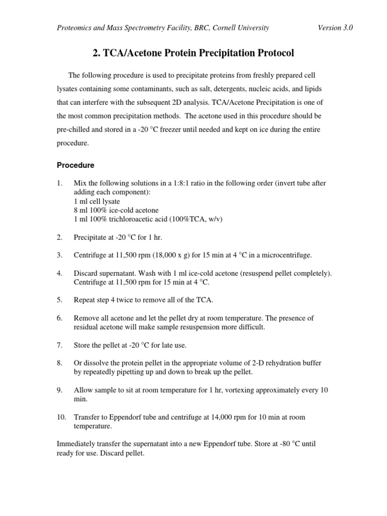 TCA/Acetone Protein Precipitation Protocol | PDF