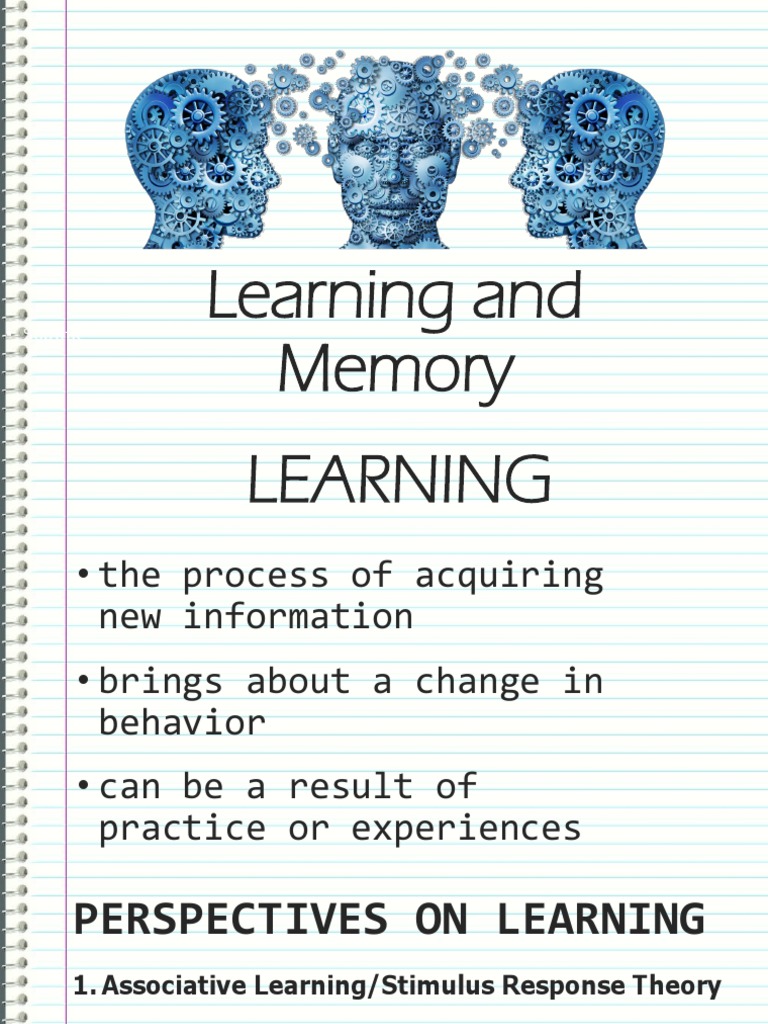 Learning and Memory: Subtitle | PDF