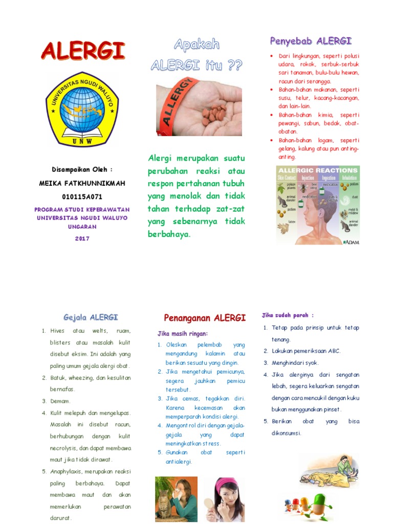 Leaflet Alergi | PDF