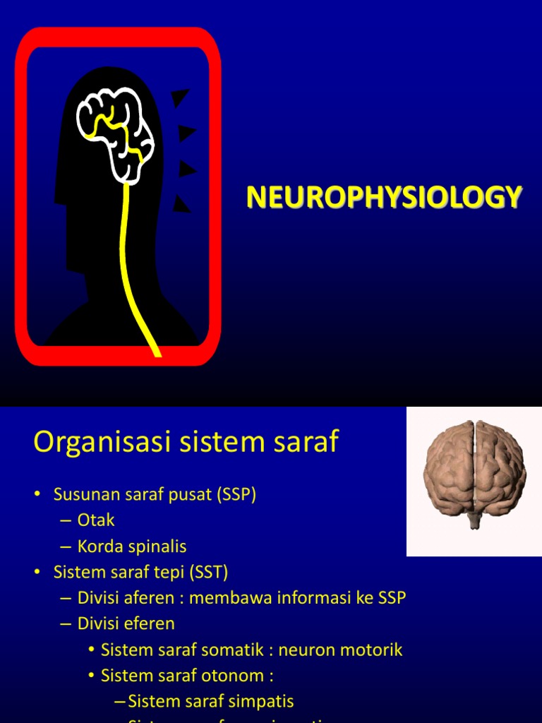 Fisiologi Neurofisiologi | PDF | Neuron | Dendrite