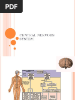 House-Brackmann Facial Nerve Grading | PDF