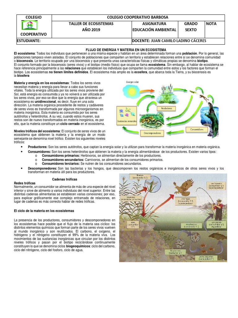 Ecosistemas y Energia Sexto | PDF | Red alimentaria | Ecología de sistemas