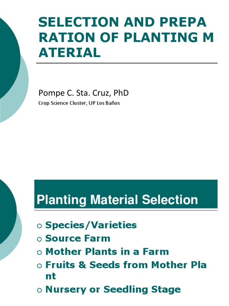 Planting Material Selection - Fin | PDF | Plant Nursery | Sowing