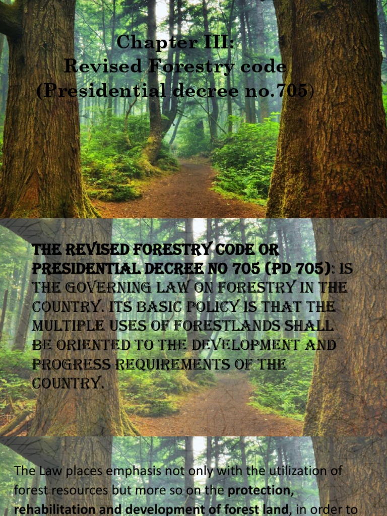 Revised Forestry Code (Presidential Decree No.705) | PDF | Forestry ...
