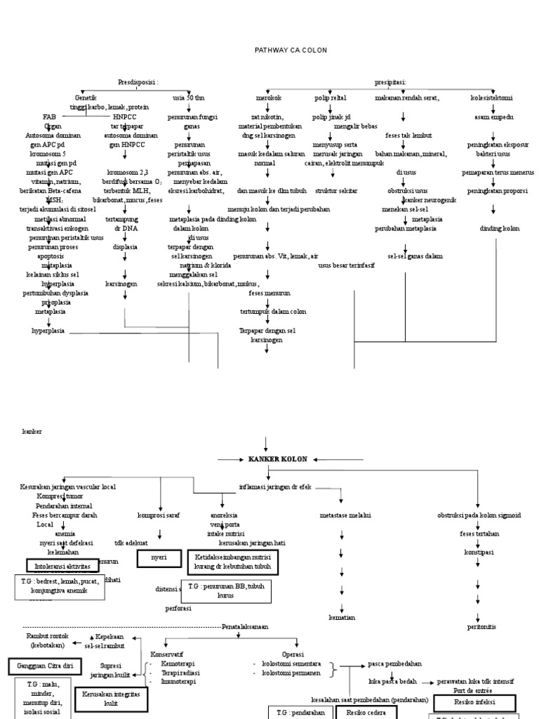 Pathway CA Colon | PDF