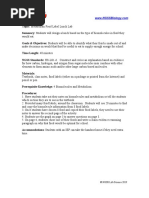 Springer Nature Word Template Guide | PDF | Citation | Paragraph