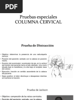 PALESTESIA Definicion y Exploración | PDF | Mano | Sistema ...
