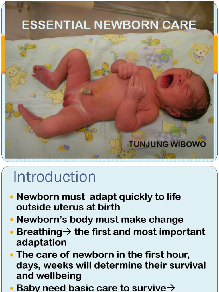 Essential Newborn Care: A Comprehensive Guide to the Critical First ...