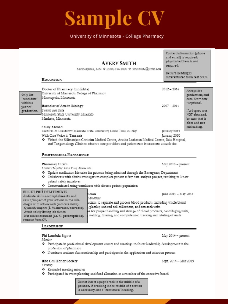 Sample CV With Notes | PDF