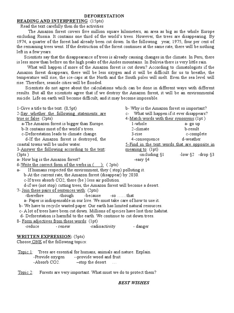 Deforestation 3 Fun Activities Games 1024 | PDF | Amazon Rainforest ...