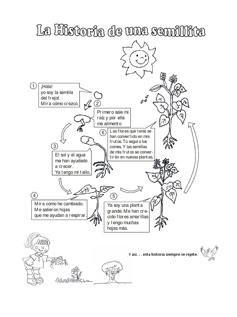 Historia de Una Semilla | PDF | Salud y bienestar