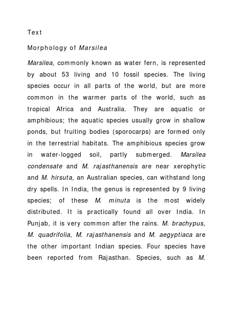 Marsilea, Commonly Known As Water Fern, Is Represented: Text Morphology ...