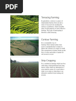 Contour Plowing and Terracing Explained | PDF | Crop Rotation | Plough