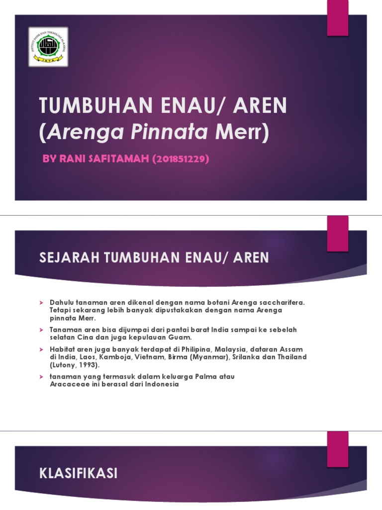 Tumbuhan Enau-3 | PDF