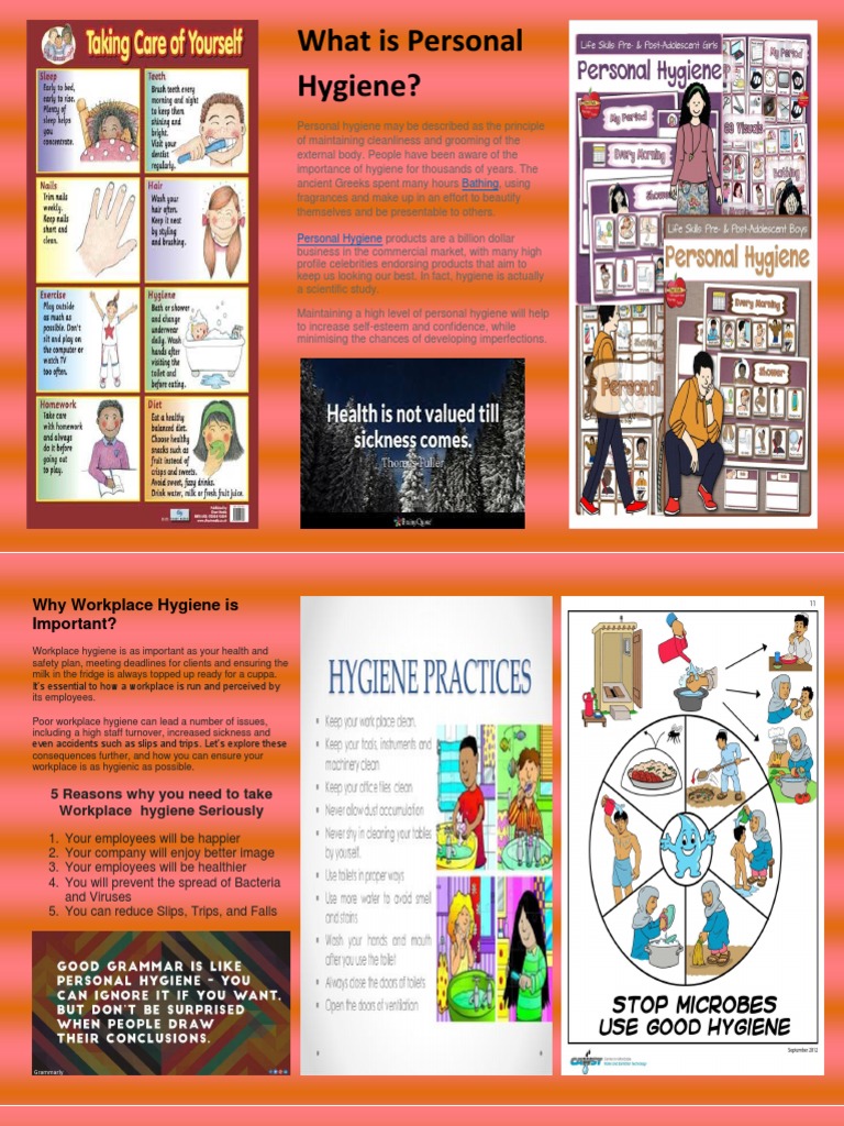 What Is Personal Hygiene?: Bathing | PDF