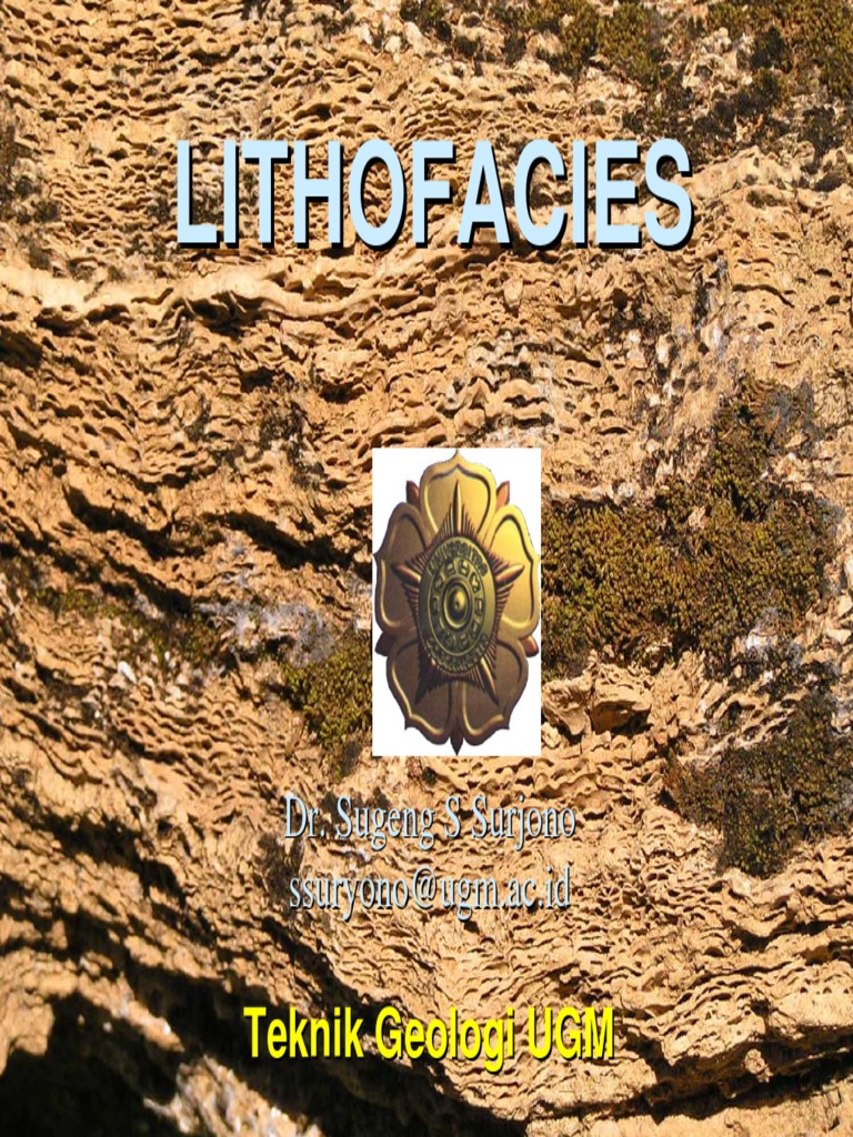 Analisis Litofasies dalam Geologi | PDF | Ilmu Sosial | Seni