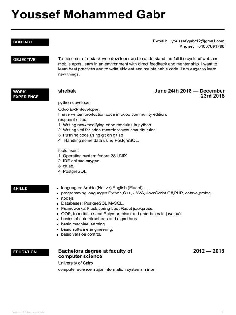 Youssef Gabr | PDF | Programmer | Python (Programming Language)