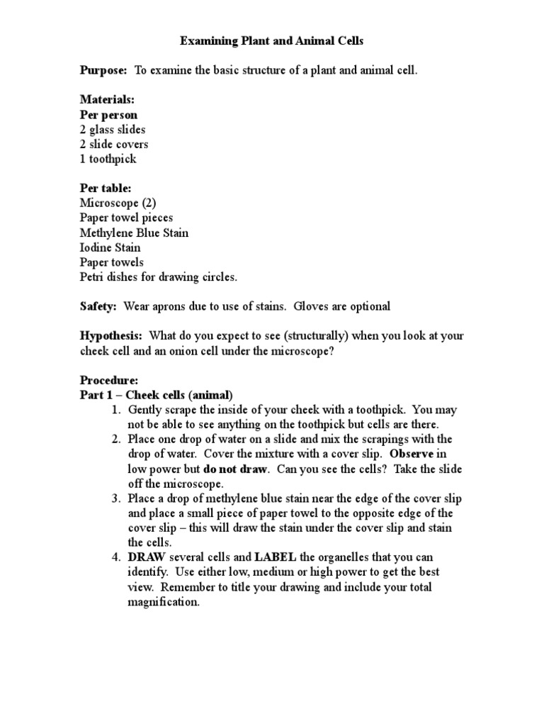 Plant vs Animal Cell Structure Lab | PDF | Staining | Microscopy