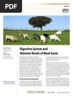 Digestive System of Goats | PDF | Ruminant | Digestion