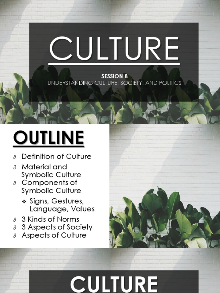 Culture: Understanding Culture, Society, and Politics | PDF | Value ...