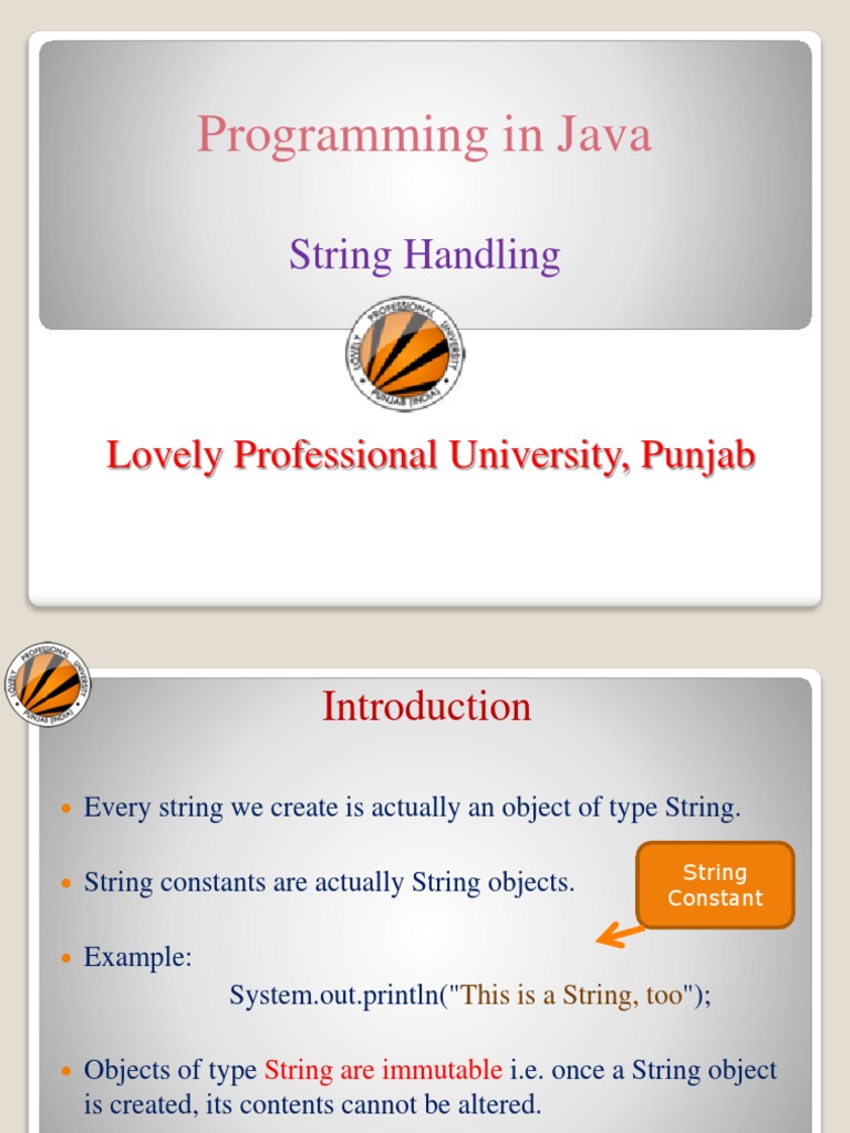 Programming In Java String Handling Pdf String Computer Science Formalism Deductive