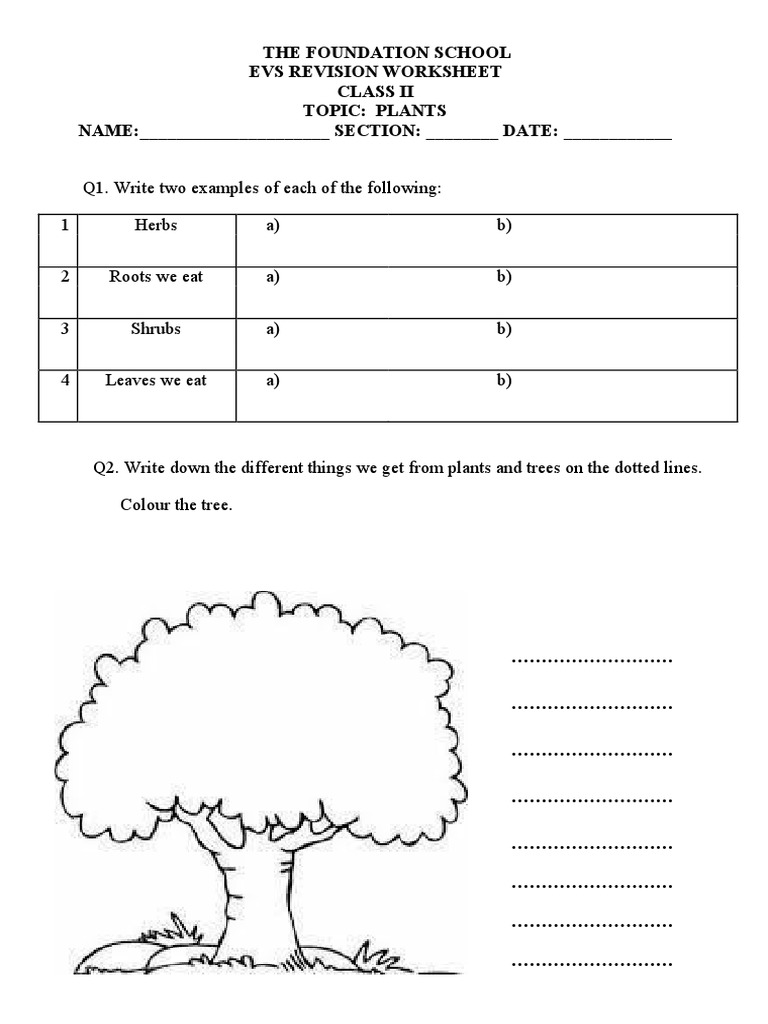 Plants Worksheet 2 | PDF